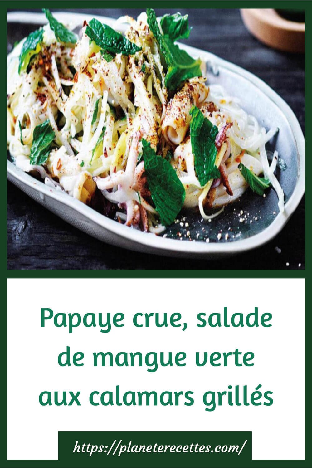 Salade de mangue verte aux calamars grillés et au Papaye crue – Planète ...